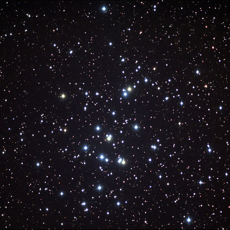 M44 Beehive Cluster (AKA Praesepe) | Whitby & District Astronomical Society